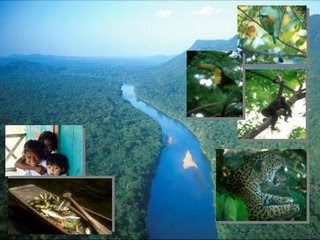 areas protegidas: Parque Nacional Patuca